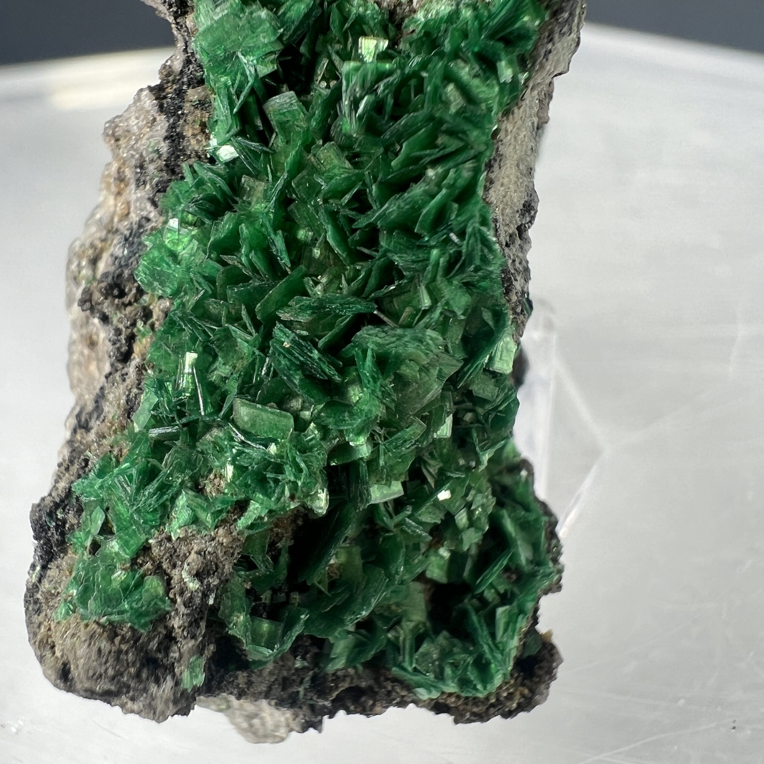 Metatorbernite: Musonoi Mine, Kolwezi, Kolwezi mining district ...