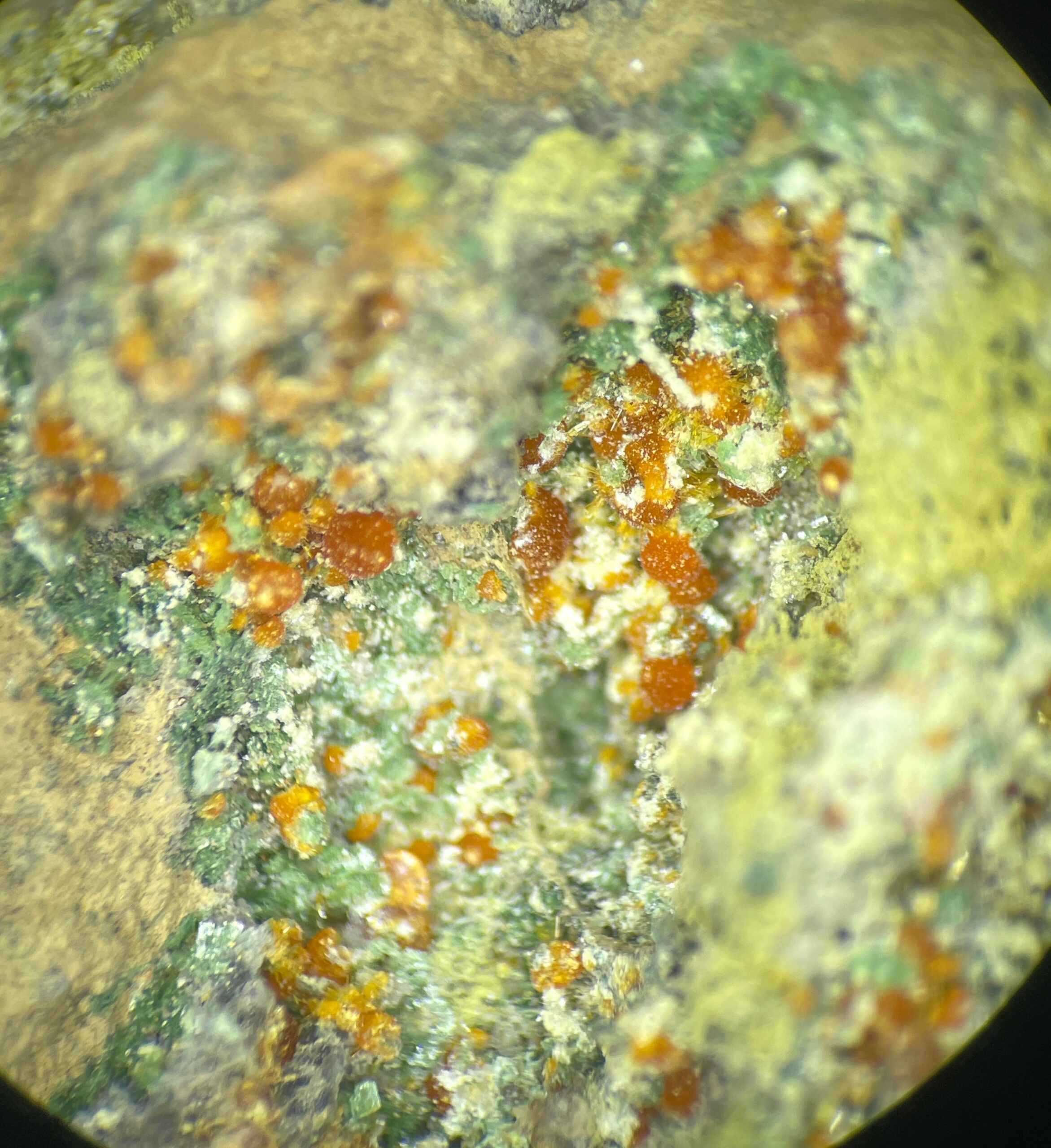 Kasolite, Metazeunerite: Shazijiang U deposit, Miaoershan Uranium ...