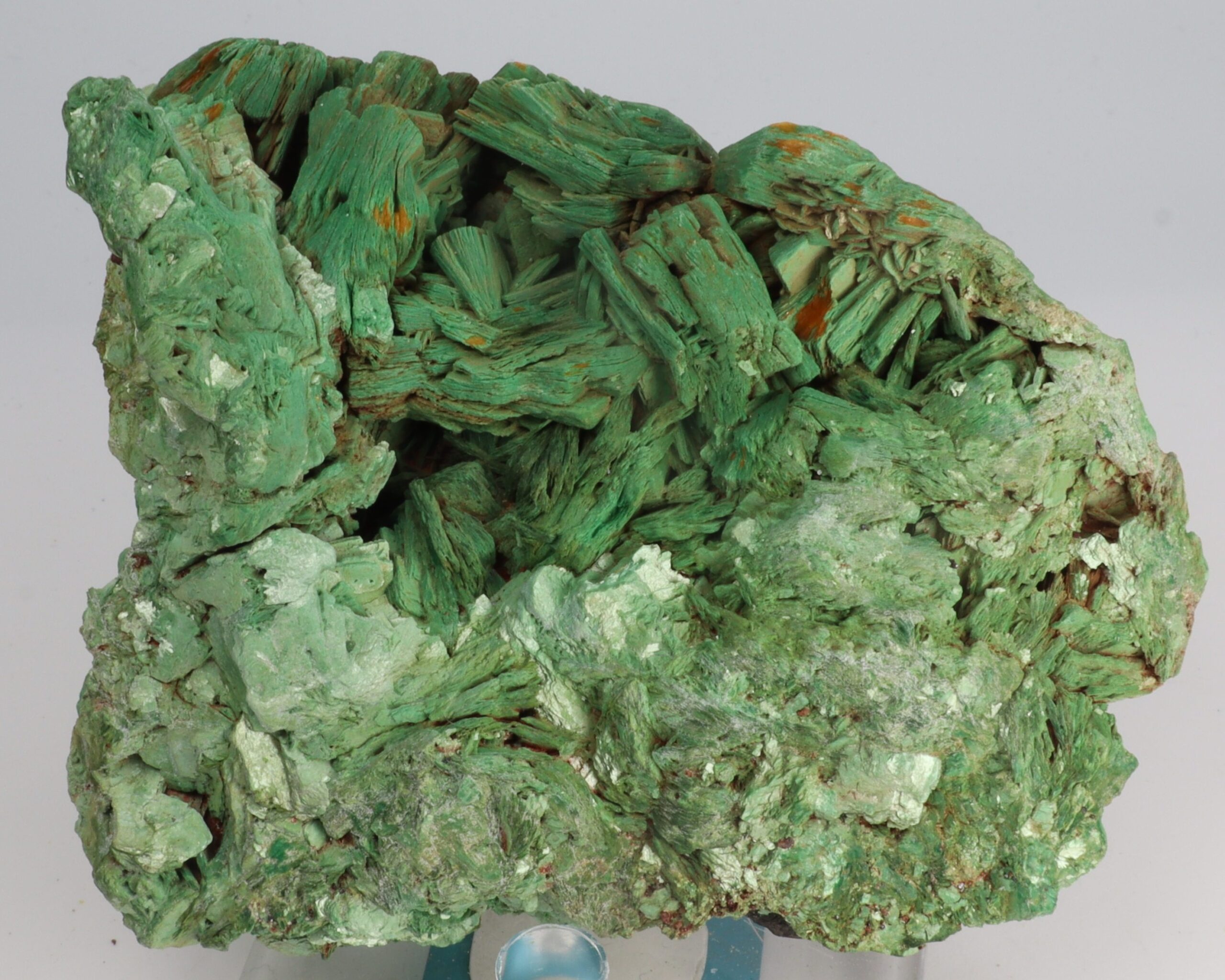 Metatorbernite: Mount Painter, Arkaroola Range, North Flinders Ranges ...