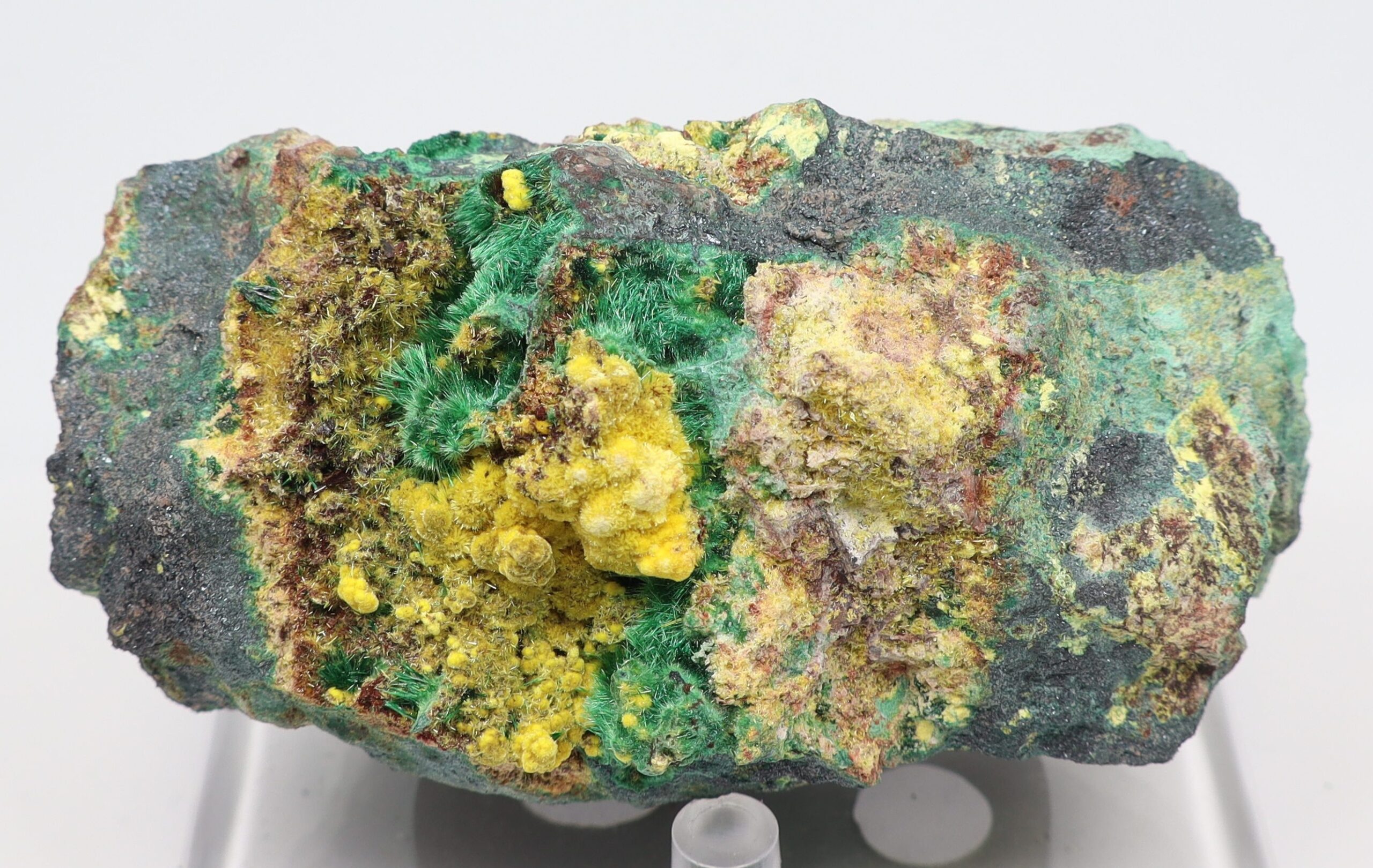 Uranophane (2 generations), Malachite: Musonoi Mine, Kolwezi ...