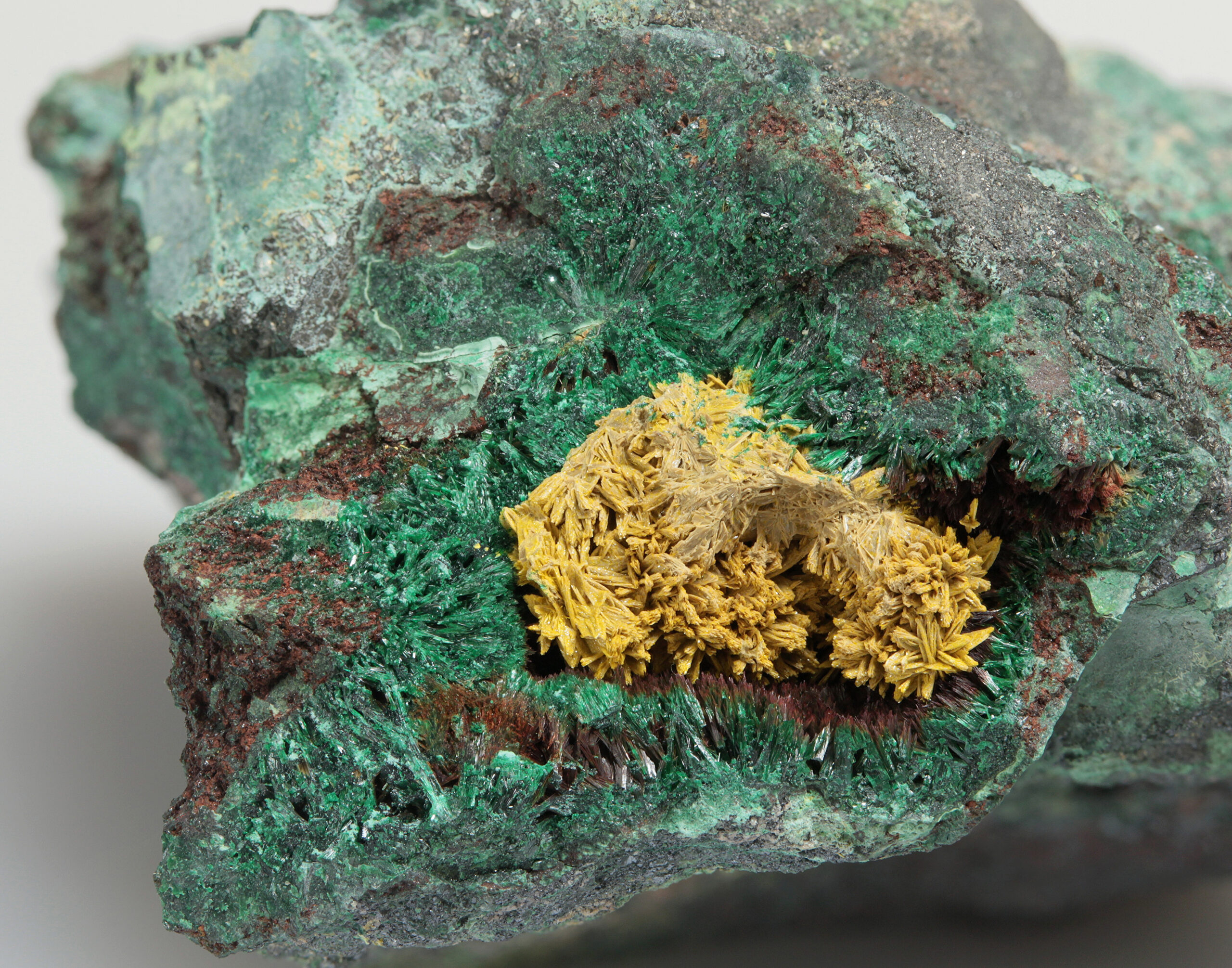 Schoepite, Rutherfordine, Malachite, Digenite: Musonoi Mine, Kolwezi ...