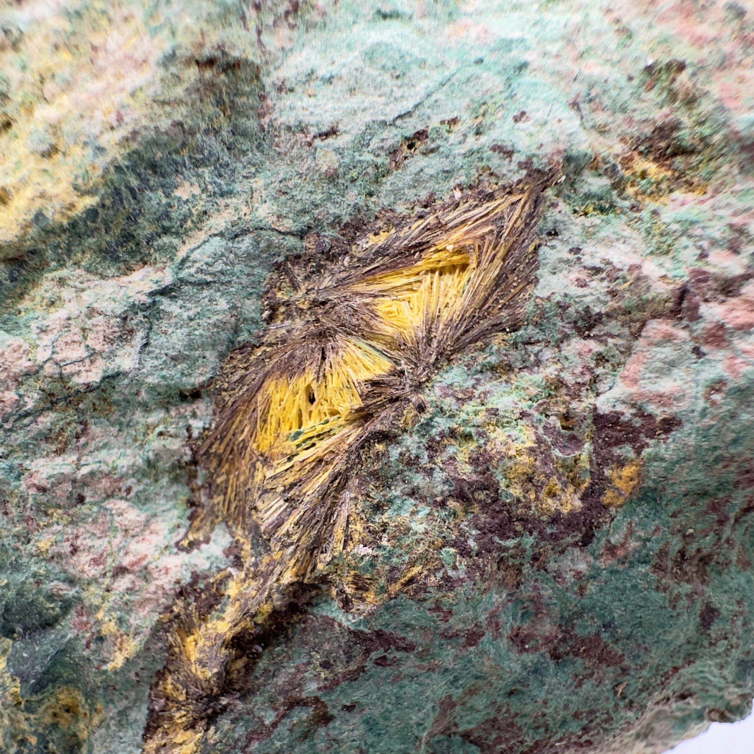 Uranophane, Metatorbernite, Kasolite, Cuprosklodowskite: Musonoi Mine ...