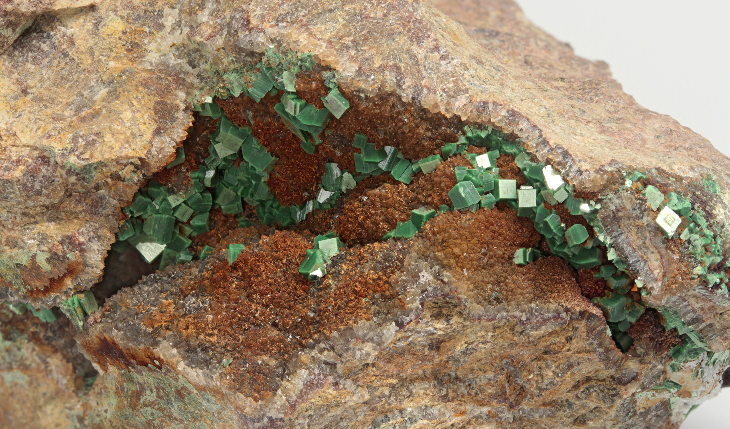 Metatorbernite, Quartz: Rovnost Mine, Jáchymov, Karlovy Vary District ...
