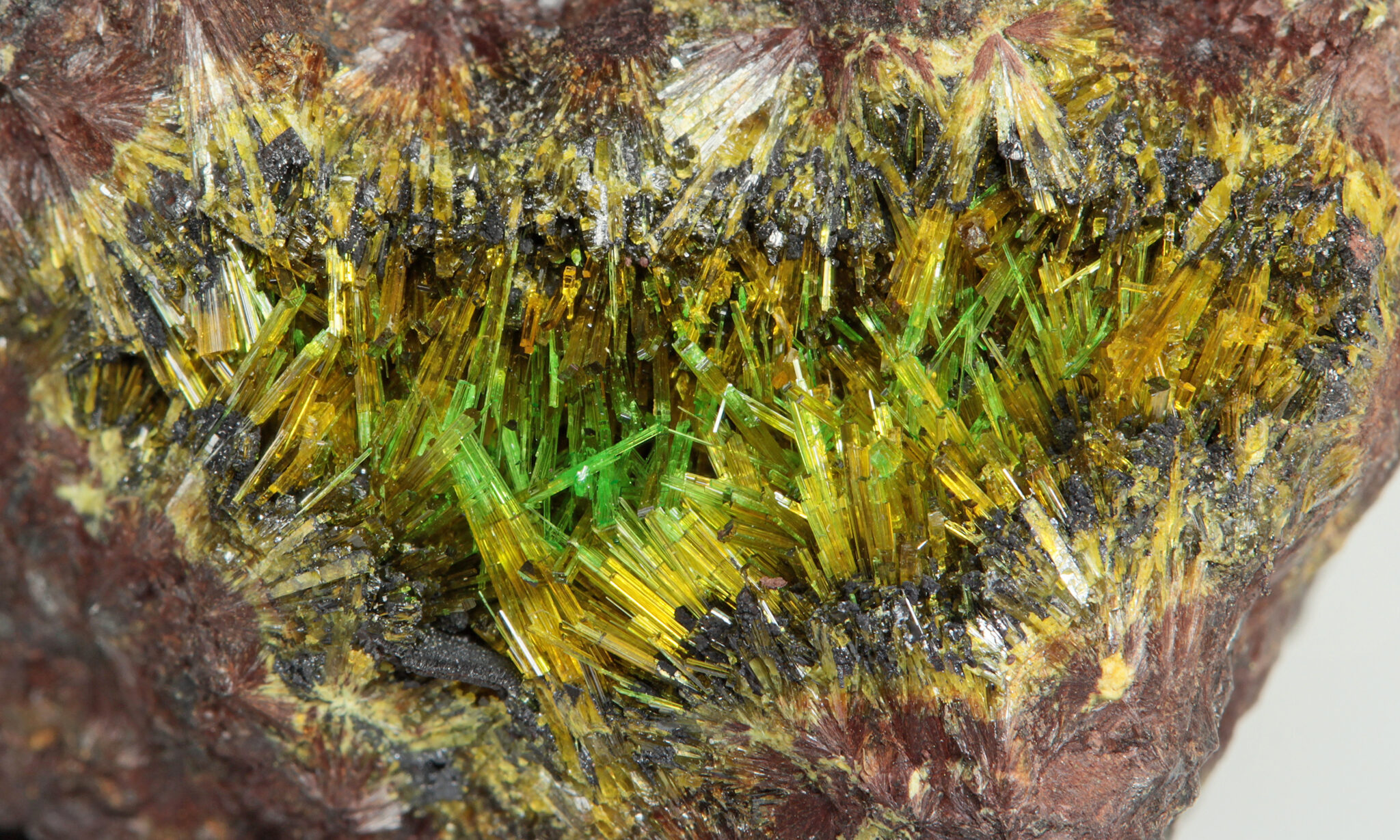 Cuprosklodowskite, Sklodowskite, Heterogenite: Musonoi Mine, Kolwezi ...