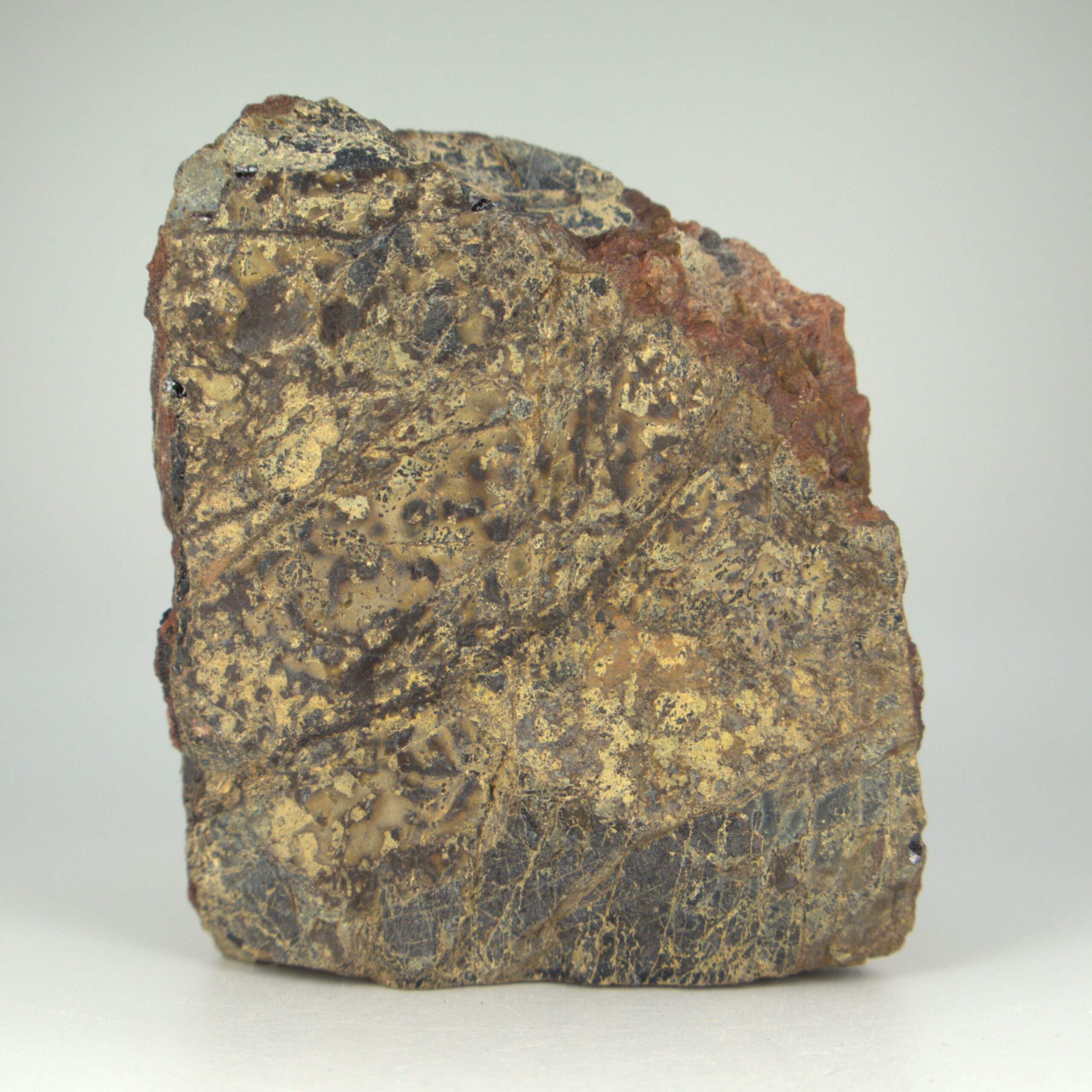 Aeschynite-(Y): Clora May Pegmatite, Trout Creek Pass, Chaffee County ...