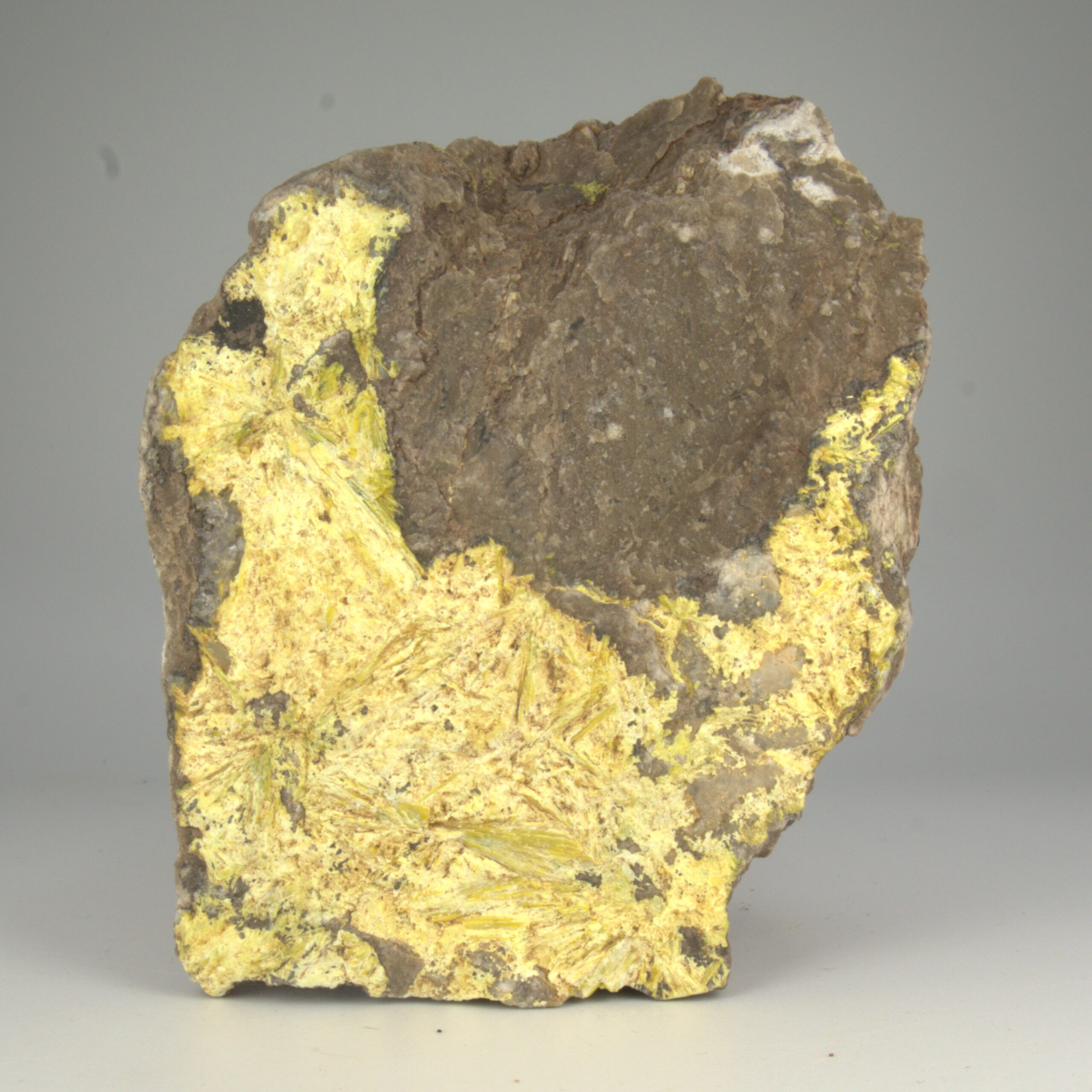 Uranophane: Poison Canyon Mine, Ambrosia Lake, Grants Uranium District ...