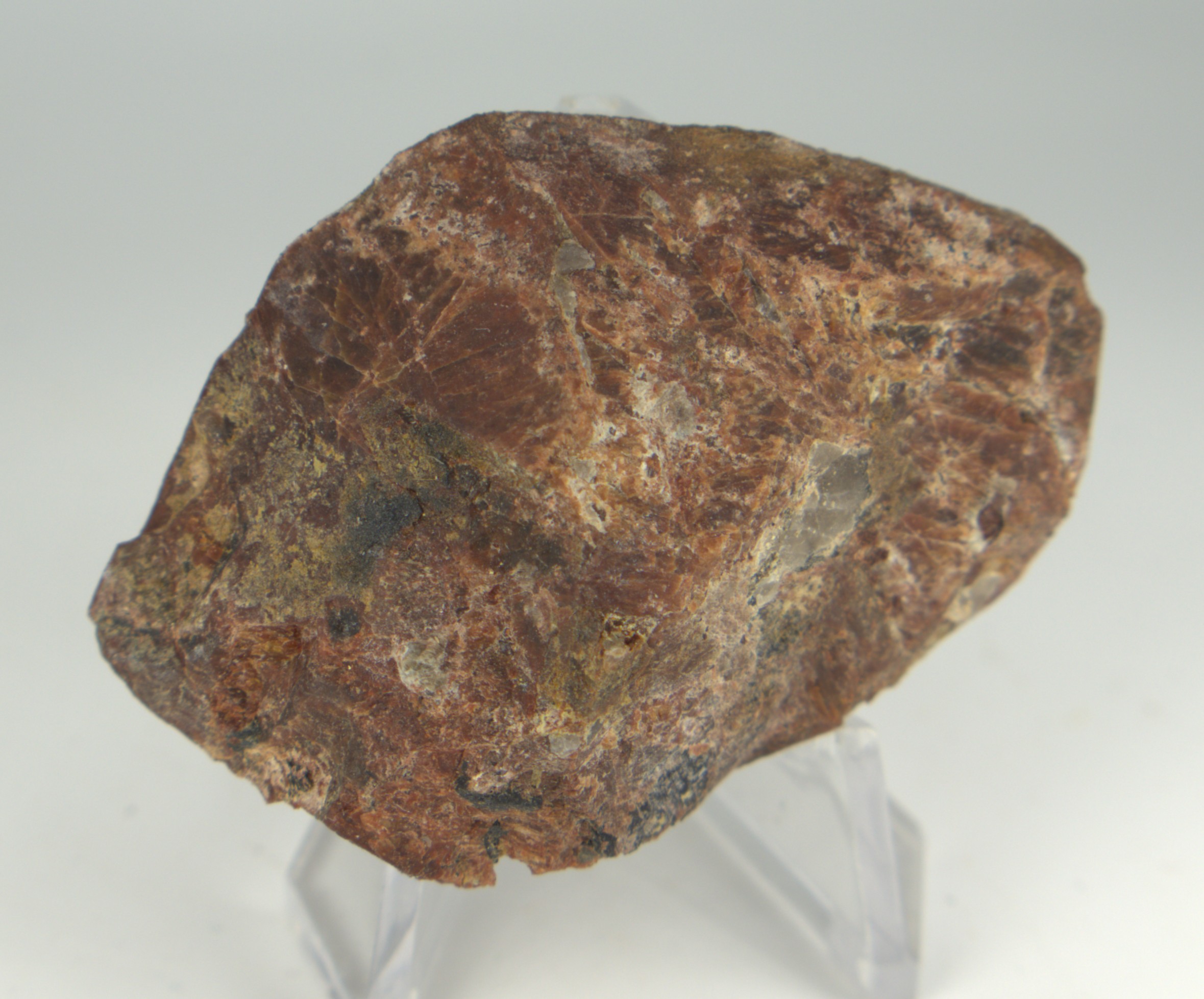 Monazite-(Ce): McGuire Pegmatite, Wellington Lake, Park County ...