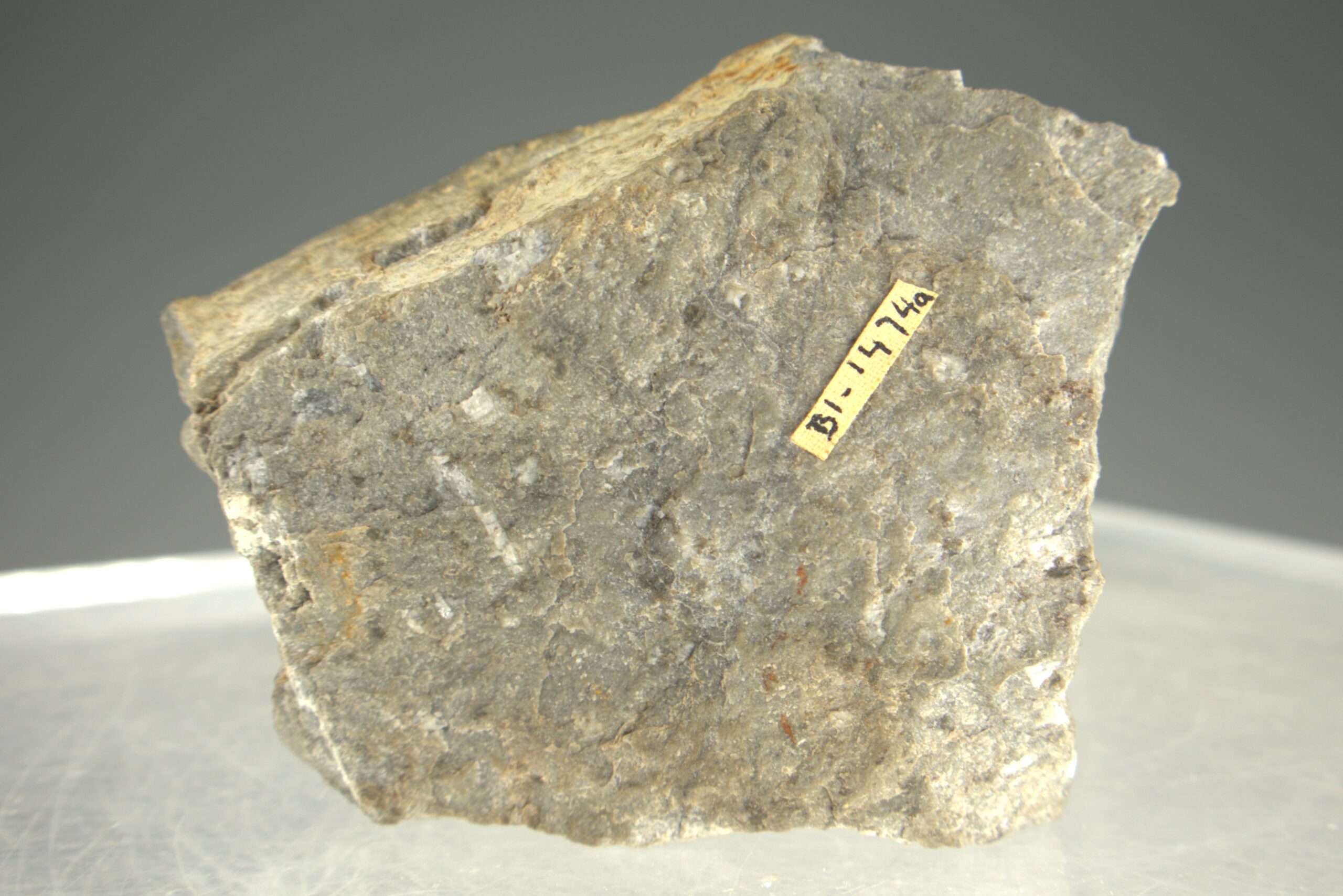 Native Tellurium, Sylvanite: Cripple Creek Mining District, Cripple ...