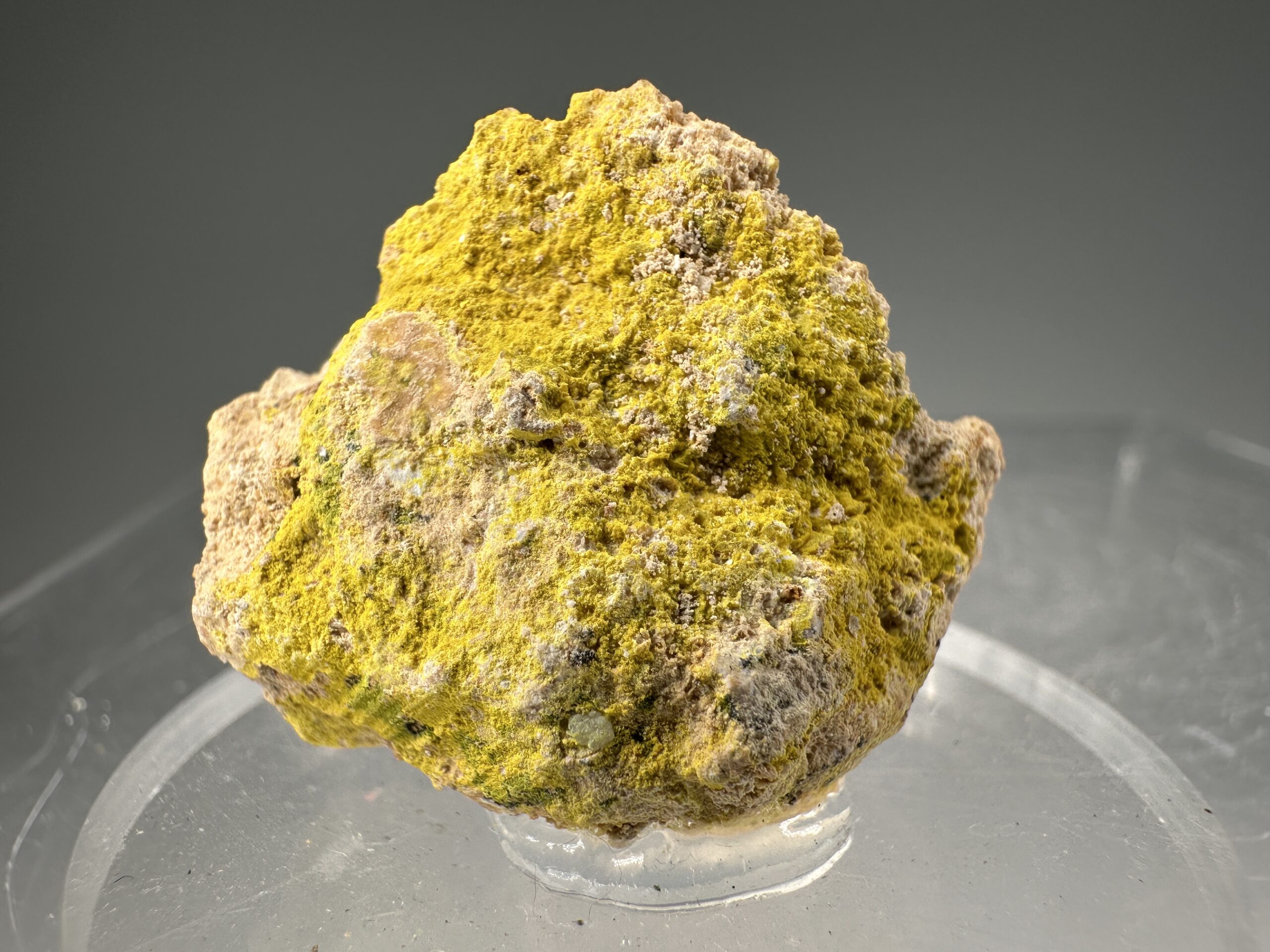 Carnotite: Kramer Hills Uranium prospects, Kramer Hills Uranium ...