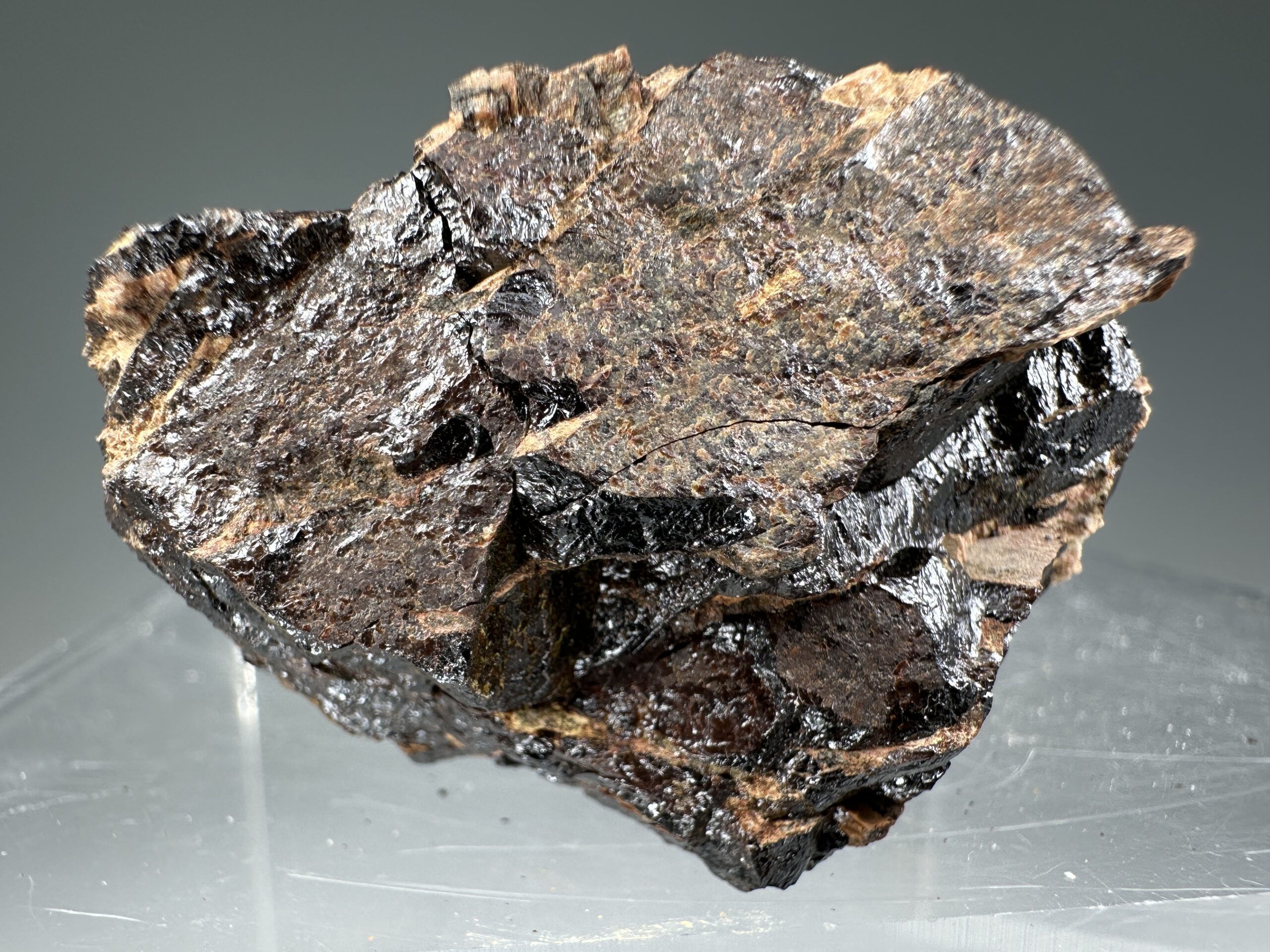 Samarskite-(Y): Black Cloud Pegmatite, Divide, Teller County, Colorado ...