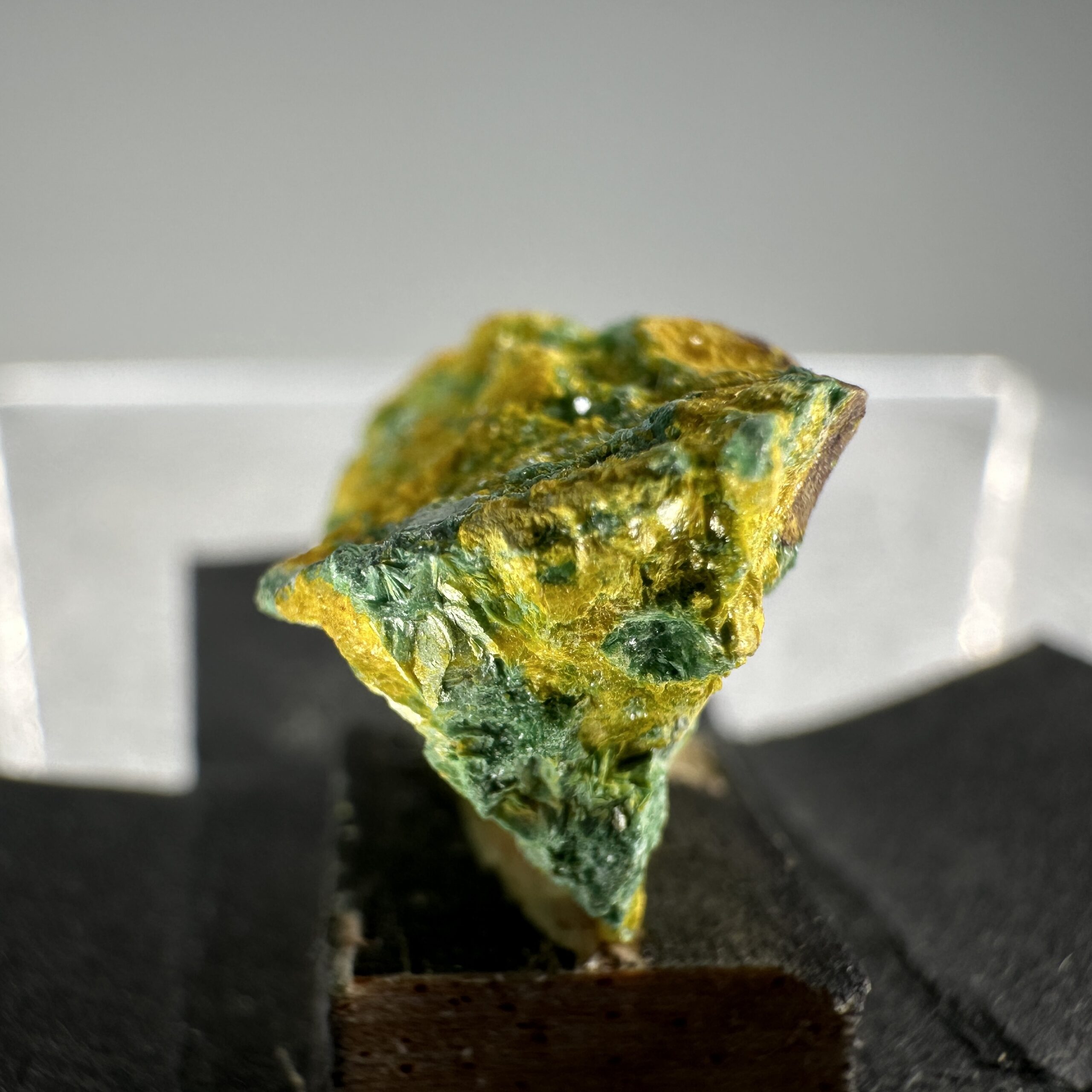 Dewindtite, Torbernite: Shinkolobwe Mine, Shinkolobwe, Kambove ...