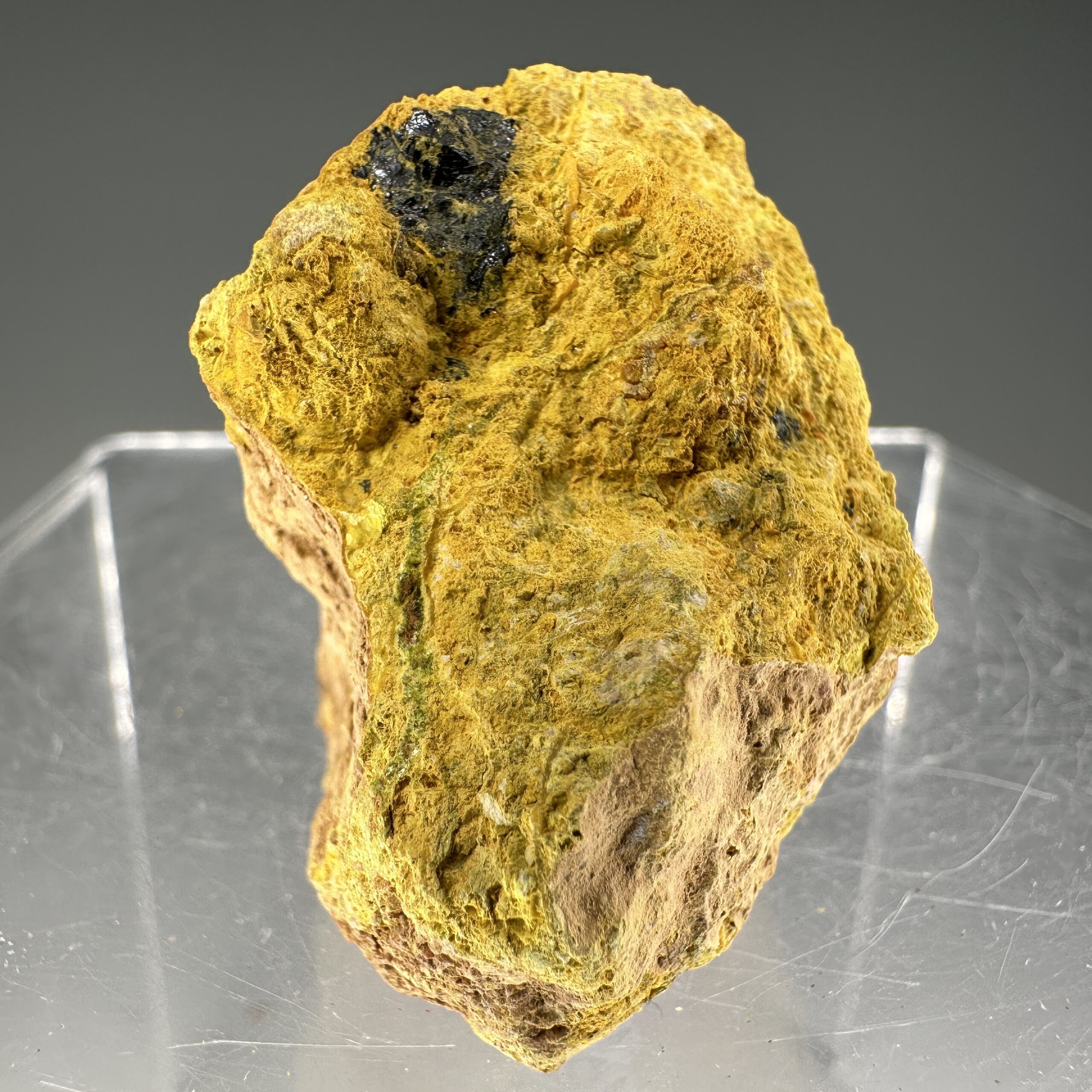 Uraninite var. Pitchblende, Uranophane: LaRue Project, Marshall Pass ...