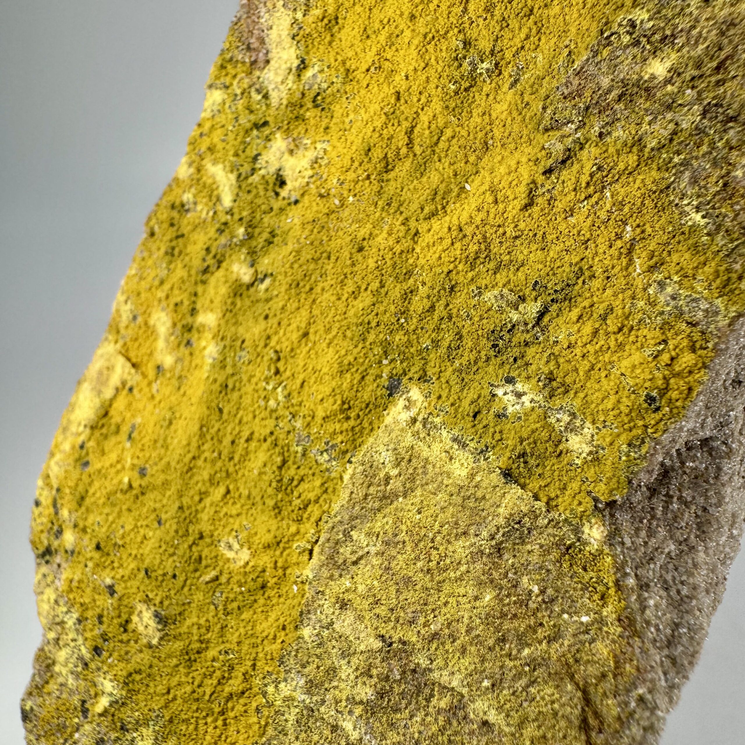 Carnotite: Uruvan Mining District, Montrose County, Colorado, USA ...