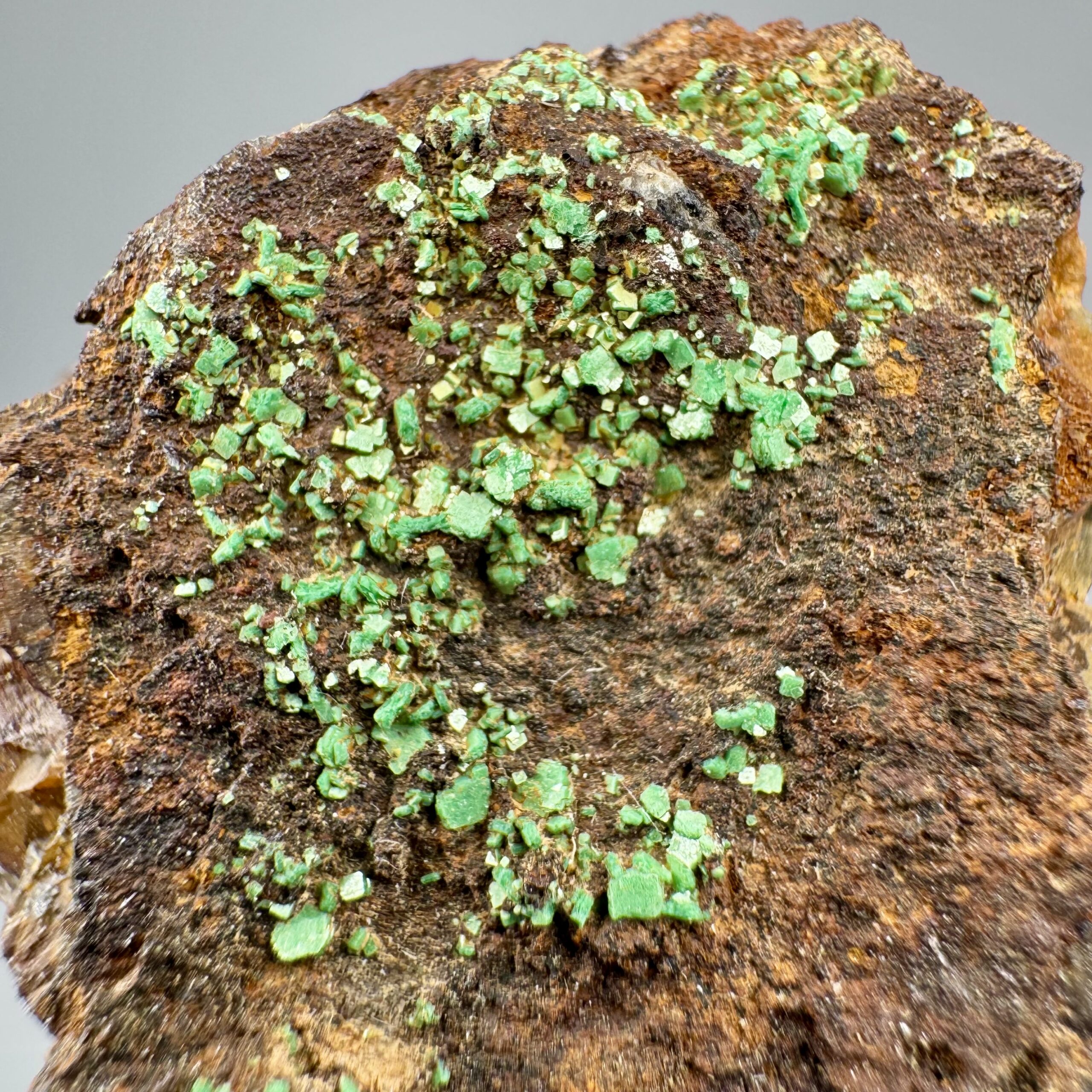 Torbernite: South Terras Mine, St Stephen-in- Brannel, Cornwall ...