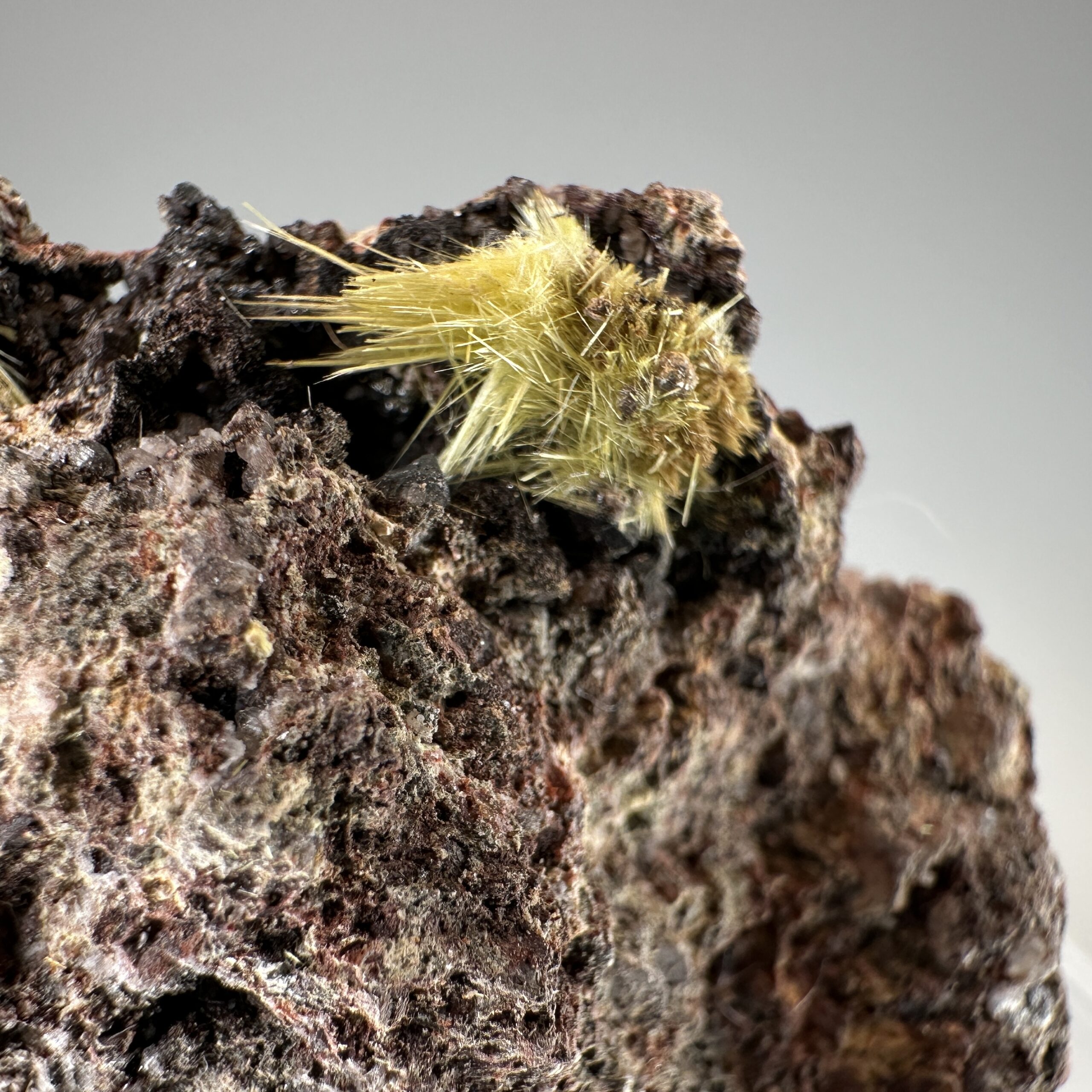 Uranophane, Goethite: Madawaska Mine (Faraday Mine), Faraday Township ...