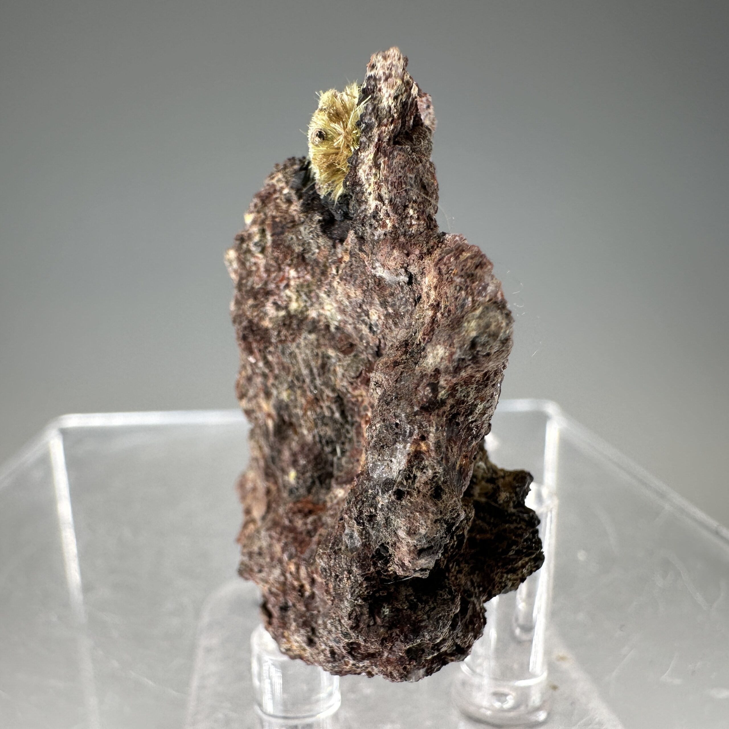 Uranophane, Goethite: Madawaska Mine (Faraday Mine), Faraday Township ...